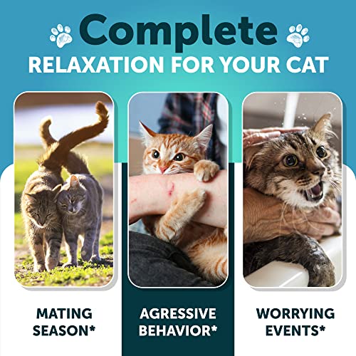 Hemp Cat Calming Treats - Cat Anxiety Relief - Storm Anxiety, Сomposure, Grooming, Separation, Travel - Calming Aid for Cats with Hemp Oil, L-Theanine - Cat Melatonin - Made in USA - 135 Soft Chews