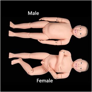 KH66ZKY Infant Care Model - Manikin Training Model - Training Room Teaching Model Doll Medical Educational Training Aid, 80cm/31.4inch,Male