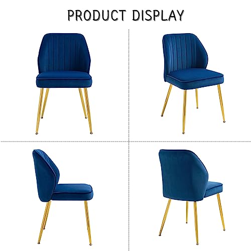 DRAGON GATE Modern Upholstered Dining Chairs Set of 2 with Seat Cushion, Armless Side Chair with Metal Legs for Dining Room Kitchen, Living Room (Blue 2PCS)