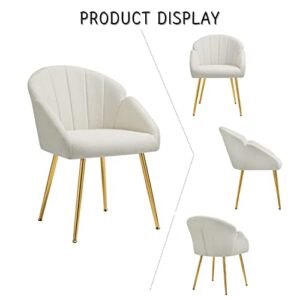 DRAGON GATE Sherpa Upholstered Dining Chairs Set of 2, Boucle Fleece Side Chair, Mid-Back Modern Accent Chair Armchair with Gold Legs for Living Room, Dining Room, Bedroom, Vanity Room, White