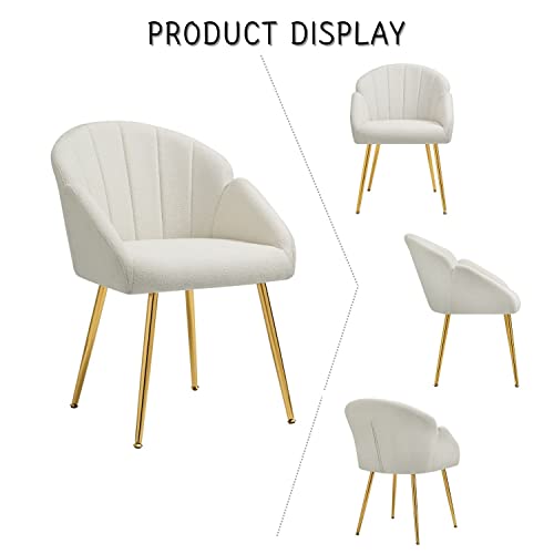 DRAGON GATE Sherpa Upholstered Dining Chairs Set of 2, Boucle Fleece Side Chair, Mid-Back Modern Accent Chair Armchair with Gold Legs for Living Room, Dining Room, Bedroom, Vanity Room, White