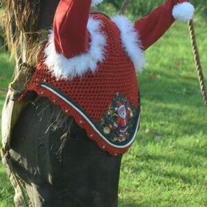 Santa Claus Christmas Horse Fly Bonnet Net Hat Hood Mask Fly Veil Full Hand Made Cotton (Horse/Full)