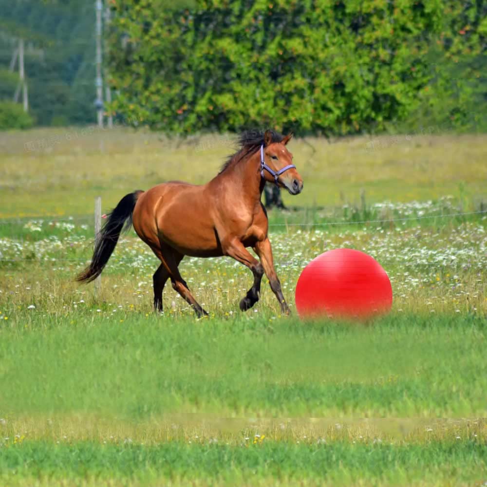 PLEURO Horse Ball Training Toy, Large Ball Horse Toys,Anti-Burst Horse Exercise Ball Toy with Inflator Pump for Horse Lamb Goat Enterainment Toy Ball (30", Red)