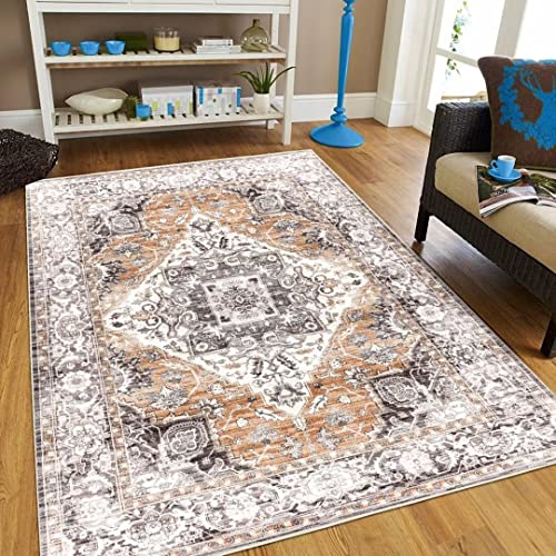 Boho Washable Area Rug 3x5 Bedroom Entry Throw Rug Medallion Stain Resistant Distressed Bohemian Ultra Thin Rug Non-Slip Carpet for Entrance Living Room Dining Table