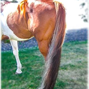 The Tail Boot-Tail Bag for All Equines (Large Black Swisher)