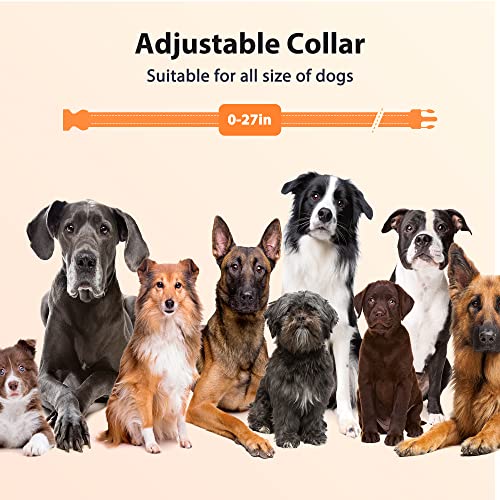 PATPET Dog Shock Collar for Medium Dogs- Dog Training Collar with Remote, Shock Collar for Small Dogs 10-100lbs, Rechargeable IPX7 Waterproof with Beep Vibration Shock Modes