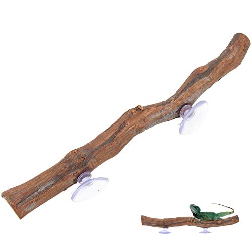 LUOZZY Bearded Dragon Accessory Wooden Tree Branch Reptile Tree Branch Lizard Reptile Toy for Small Pet