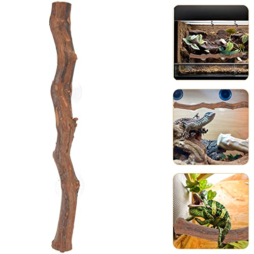 LUOZZY Bearded Dragon Accessory Wooden Tree Branch Reptile Tree Branch Lizard Reptile Toy for Small Pet