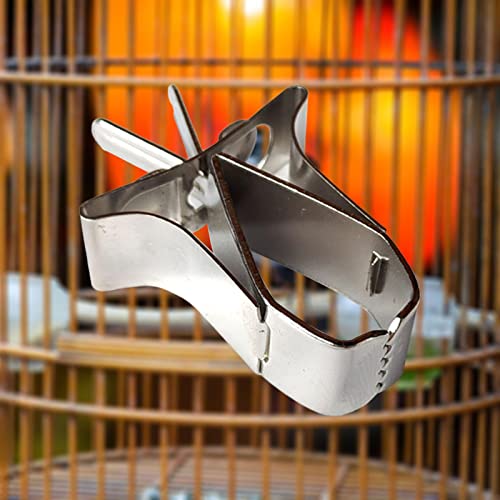 Bird Cage Fruit Vegetable Clip Feeder Device Food Holder Stainless Steel for Parrot Small Animals Cockatoo Cage Accessories