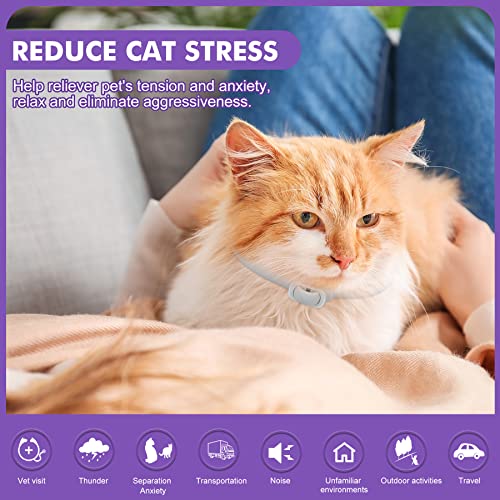 LIZCOM 6 Pack Calming Collar for Cats,Cat Calming Collar,Cat Pheromone Collar,Adjustable Calming Cat Collars for Cat Stress Anxiety Relief