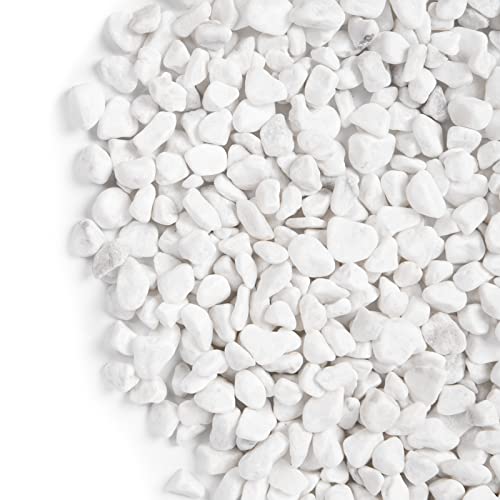 GASPRO 5lbs Gravel, 1/5 Inch White Rocks for Plants, Vases, Natural Decorative Pebbles for Succulents, Terrarium, Cactus, Matte Texture