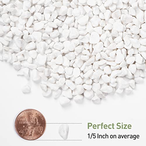 GASPRO 5lbs Gravel, 1/5 Inch White Rocks for Plants, Vases, Natural Decorative Pebbles for Succulents, Terrarium, Cactus, Matte Texture