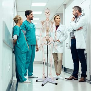 GOFLAME Human Skeleton Model for Anatomy, 70.8” Life Size Skeleton Model with Nervous System and Rolling Stand for Medical Study, Anatomical Skeleton with Movable Arms and Legs, Dust Cover & Poster