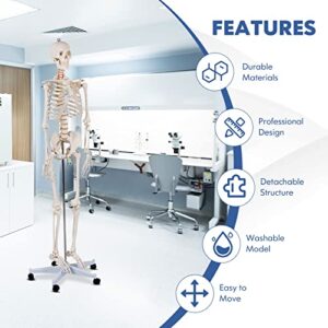 GOFLAME Human Skeleton Model for Anatomy, 70.8” Life Size Skeleton Model with Nervous System and Rolling Stand for Medical Study, Anatomical Skeleton with Movable Arms and Legs, Dust Cover & Poster