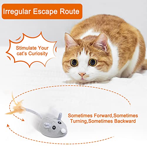 Interactive Cat Mouse Toy, Automatic Cat Toys with Feather Tail, Realistic Mouse Cat Toy Simulates Kitten Toys Self Play, Cat Toys Pet Exercise Toys with USB Charging