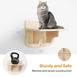 VENIBOBO Cat Hammock Wall Mounted Cat Shelves with Perches and Two Scratching Posts for Climbing Playing and Sleeping, Modern Indoor Wooden Cat Wall Furniture for Large Cats or Kitty 4pcs/Set