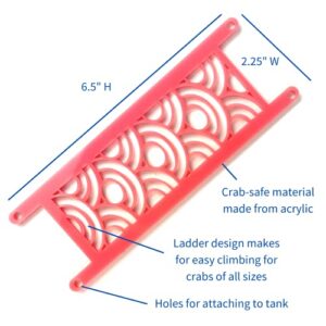 Snout and Shell - Hermit Crab Crabitat Pool Ladders - 2 Pack Acrylic Arches Ladder Pink