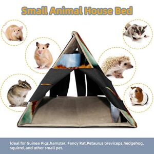 Y-DSIWX Guinea Pig Hideout Cozy Hamster House Cave for Bunny Chinchilla Hedgehog Small Animal Cute Wink Cat