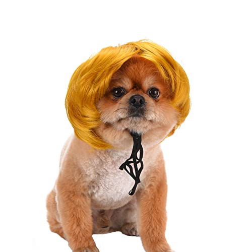 Funny Dog Cat Cosplay Wig, Headwear Apparel Toy, Pet Costumes, Cat Dress up for Halloween, Christmas, Parties, Festivals, Dog Wigs for Small Medium and Large Dogs (Pumpkin Yellow)