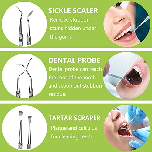 PARYUNGR Dental Tools, Professional Teeth Cleaning Oral Care Hygiene Kit, Stainless Steel Dental Pick Tooth Scraper Tartar Plaque Remover for Dentist, Personal, Pet Use with Storage Box