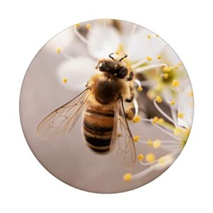 Bee PopSockets Swappable PopGrip