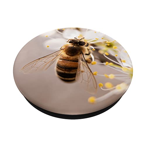 Bee PopSockets Swappable PopGrip