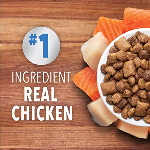 Iams Healthy Enjoyment Dry Cat Food Chicken & Salmon Recipe, 3 lb. Bag