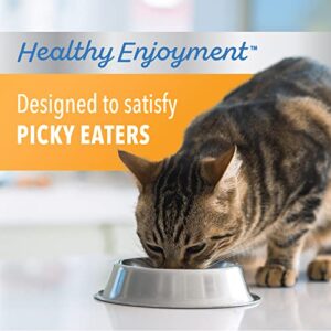 Iams Healthy Enjoyment Dry Cat Food Chicken & Salmon Recipe, 3 lb. Bag