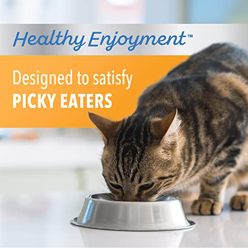 Iams Healthy Enjoyment Dry Cat Food Chicken & Salmon Recipe, 3 lb. Bag