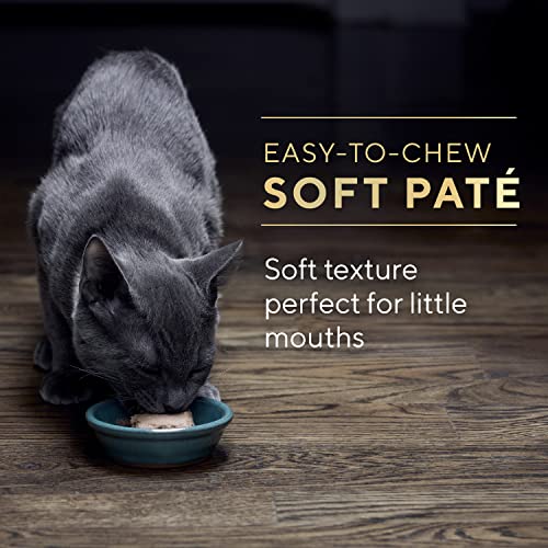 SHEBA PERFECT PORTIONS Kitten Paté Wet Cat Food Trays (24 Count, 48 Servings), Savory Chicken Entrée, Easy Peel Twin-Pack Trays