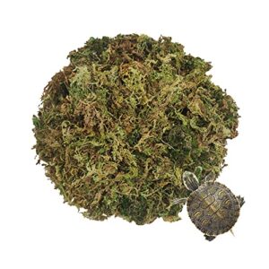 hamiledyi natural sphagnum moss bedding reptile moss for frogs toads salamanders turtles anoles or green snakes and other reptiles and amphibians (10.58 oz)