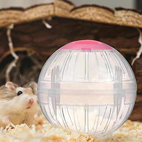 2PCS Hamster Toys Exercise Ball Transparent Hamster Ball Hamster Wheel for Dwarf Hamsters Small Pets Running to Increase Activity 5.7 Inch