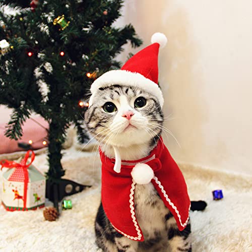 Meihejia Cat Christmas Costume Outfit Set, Super Cute Cat Santa Costume, Cat Santa Hats, Scarves, Capes, Moose Horns