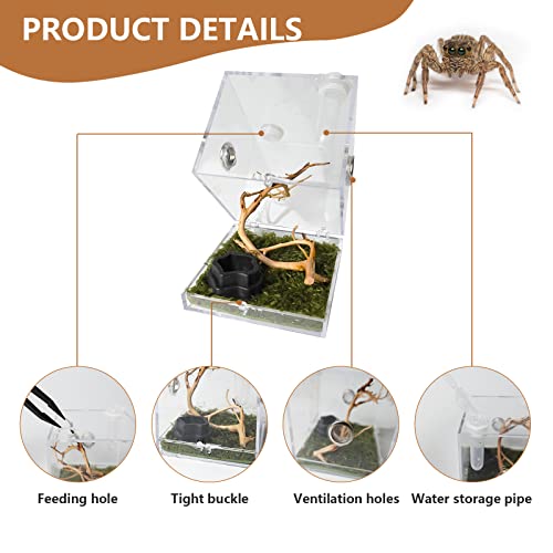 GKPONSX Jumping Spider Enclosure, Acrylic Snail SpiderTerrarium Insect Breeding Box with Tongs Bowls Dropper for Snail Insects Gecko Scorpion Sling Mantis Frog Isopods Hermit Crabs (Driftwood)