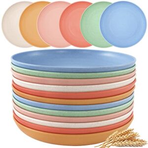 dwrttow 12 pack wheat straw plates,9 inch lightweight straw plates,plastic plates reusable,unbreakable deep dinner plates,perfect for dinner dishes,bpa free & eco-friendly,dishwasher & microwave safe