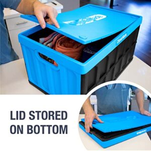 CleverMade 62L Collapsible Storage Bins - Durable Plastic Folding Utility Crates, Royal Blue, 3 Pack & CleverMade - 8034119-21843PK 62L Collapsible Storage Bins with Lids - 3 Pack, Neptune Blue