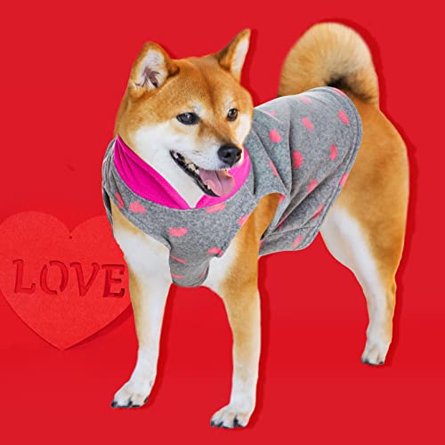 Rbenxia 1 Piece of Grey Dog Heart Sweater with Leash Ring Soft Fleece Vest Dog Pullover Warm Jacket Pet Dog Clothes Winter Dog Outfits for Small Puppy Cat Pets (Large)