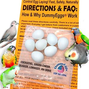 dummyeggs 7 cockatiel stop egg laying! perfect for quaker, green cheek 1 x 3/4" plastic non-toxic solid fake bird eggs realistic work safely, naturally, quickly. 20 x 24mm usa brand