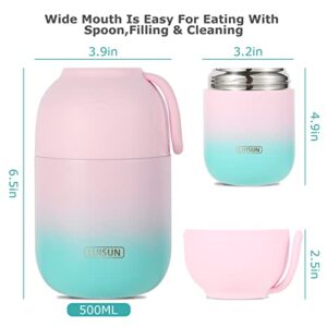 17 Oz Insulated Food Thermos Soup Thermos for Hot Food Kids Adults, 304 Stainless Steel Lunch Box Food Container with Folding Spoon, Vacuum Insulated Portable for School, Office, Outdoor (Pink)