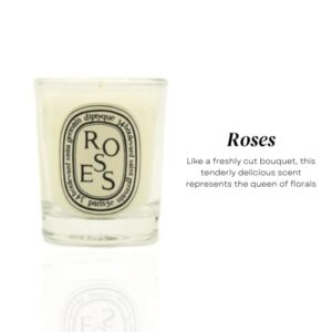 Diptyque Set of 5 35g Small Scented Candles Limited Edition Holiday Gift Set:: Baies / Berries, Roses, Figuier / Fig Tree, Ambre / Amber and Tubéreuse / Tuberose