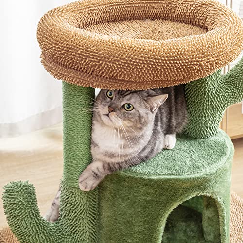 Kilodor Cat Tree for Indoor Cats, 24.5inchs Cactus Cat Tower with Large Padded Top Perch, Kitten Condo House, Cat Scratching Post Small