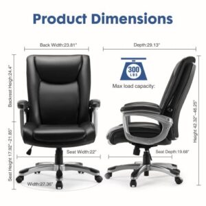 OLIXIS Home Office Computer Desk Chair, Dark Black