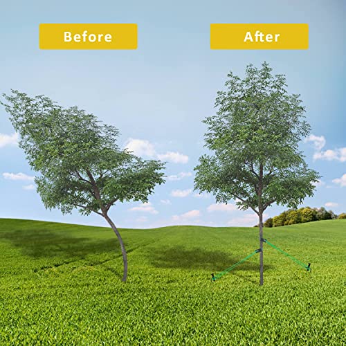 FCENDS Tree Stake Kit, Heavy Duty Anchor Support Kit for Young Trees Against Bad Weather, Tree Straightening Kit Include 3Pcs Tree Straps, 3Pcs 11.8 in Metal Stakes, 3Pcs Ropes