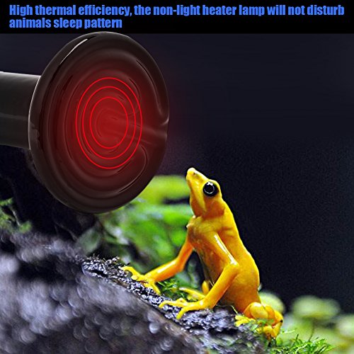 plplaaoo 110V Ceramic Heat Emitter,No Light Ceramic Heat Lamp, Infrared Ceramic Heating Lamps, Reptile Heat Bulb, Infrared Reptile Emitter Bulb for Reptile Pet Aquarium Brooder(75W)