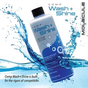 Molecule Wash and Shine, Hi-Foaming, Spot-free rinse, Removes Rubber Marks, Oils, and Dirt, 16 Ounces