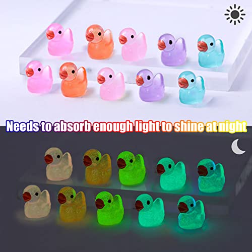 Mini Resin Ducks,100Pcs Luminous Tiny Ducks Micro Landscape Gardening Decorative Potted Flower Pots Resin Gardening Accessories Ornaments (Mixed)