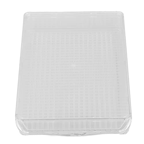 HOLPPO Pantry Storage Bin,Durable Plastic Pantry Storage Container,with Lid Large Capacity Transparent Food Grade Portable Durable Multifunction Pantry Containers(12.1in-Transparent)