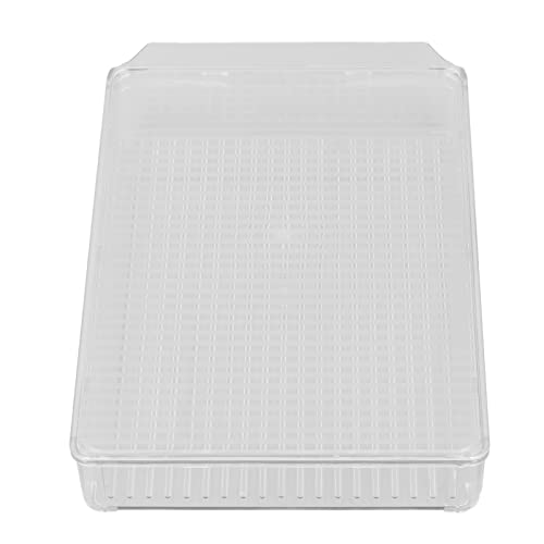 HOLPPO Pantry Storage Bin,Durable Plastic Pantry Storage Container,with Lid Large Capacity Transparent Food Grade Portable Durable Multifunction Pantry Containers(12.1in-Transparent)