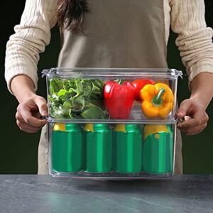 HOLPPO Pantry Storage Bin,Durable Plastic Pantry Storage Container,with Lid Large Capacity Transparent Food Grade Portable Durable Multifunction Pantry Containers(12.1in-Transparent)