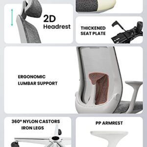 Dripex Mesh Office Chair for Home, Ergonomic Desk Chair with Arms/Lumbar Support/Mesh Back/Adjustable Headrest & Height/Wheels, Computer Chairs Tilt Reclining Swivel Rolling Chair, Grey